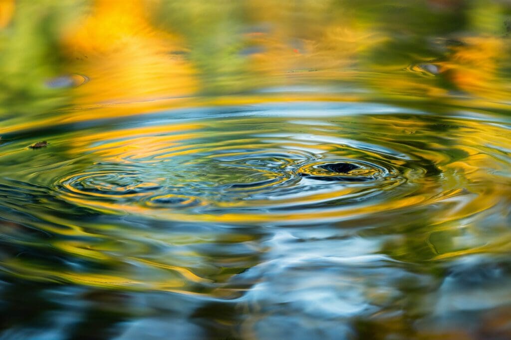 StoryOne - We put your story at the heart of everything we do.